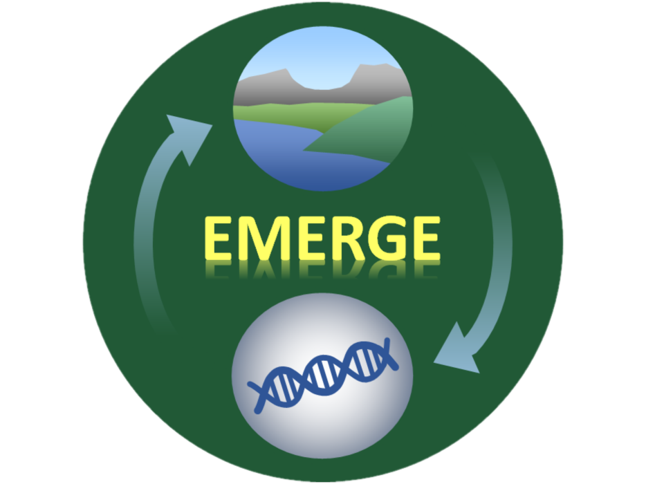 EMERGE-DB